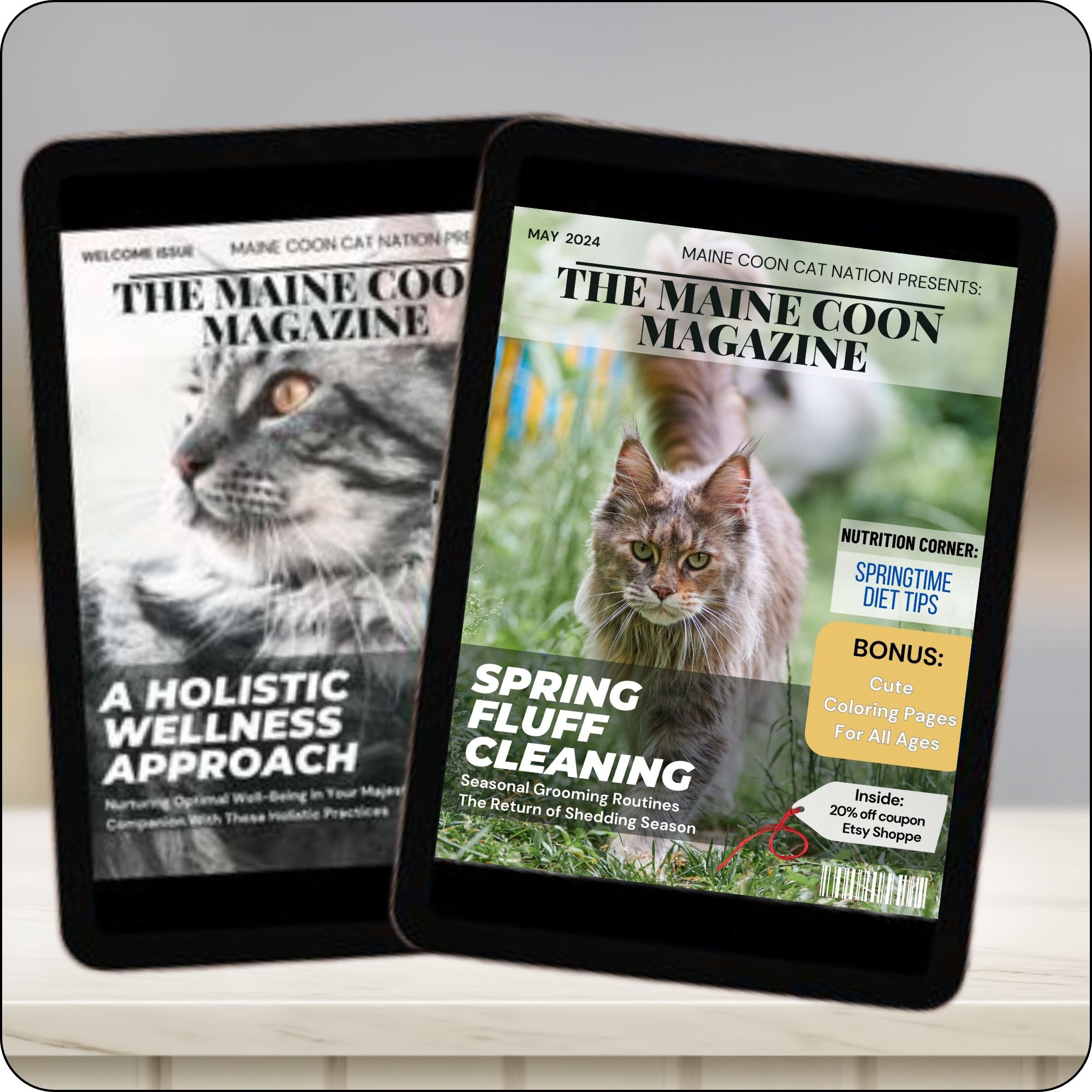 Welcome to Our Maine Coon Community!