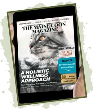 Our Maine Coon Community