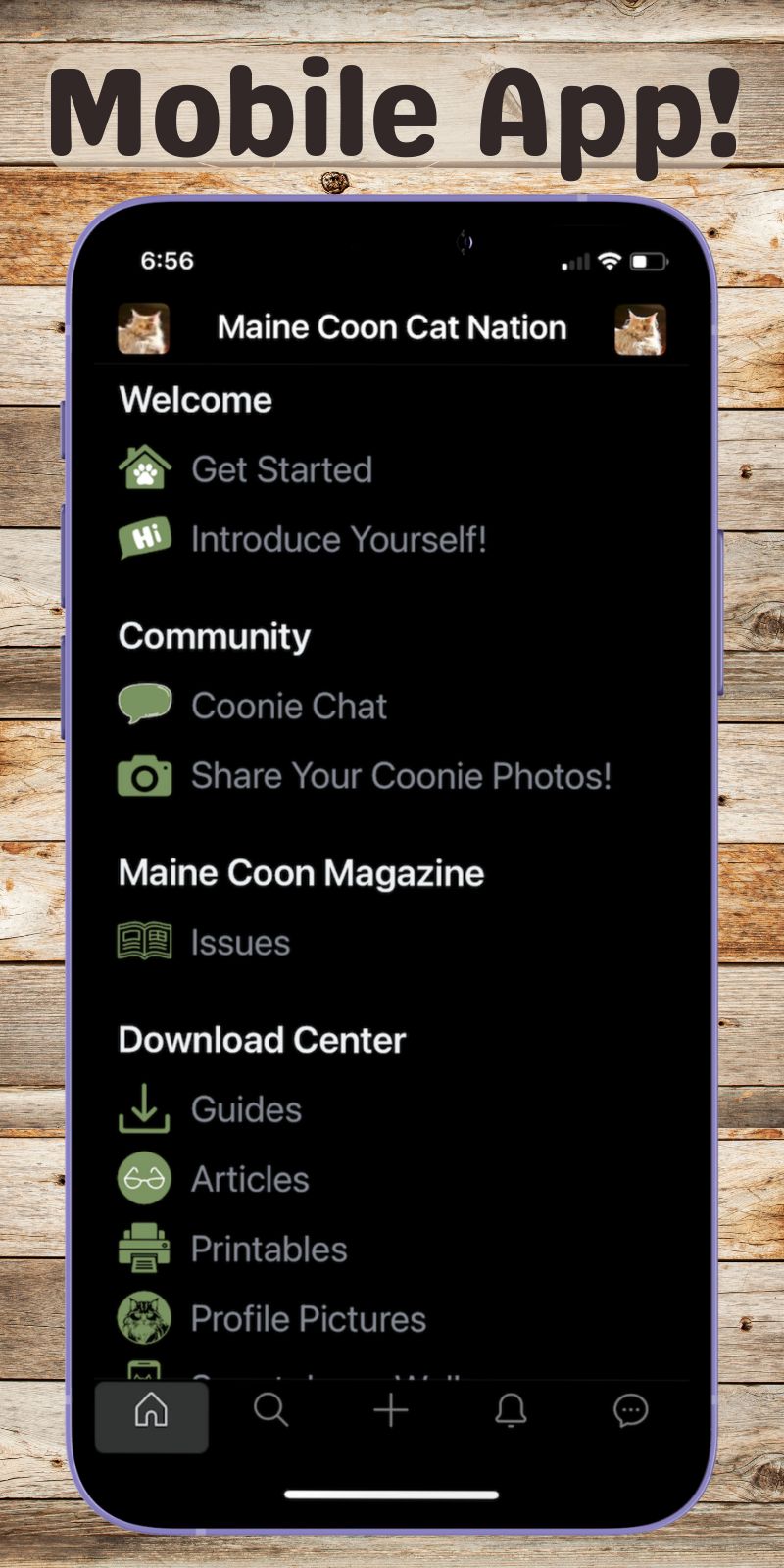 Our Maine Coon Community