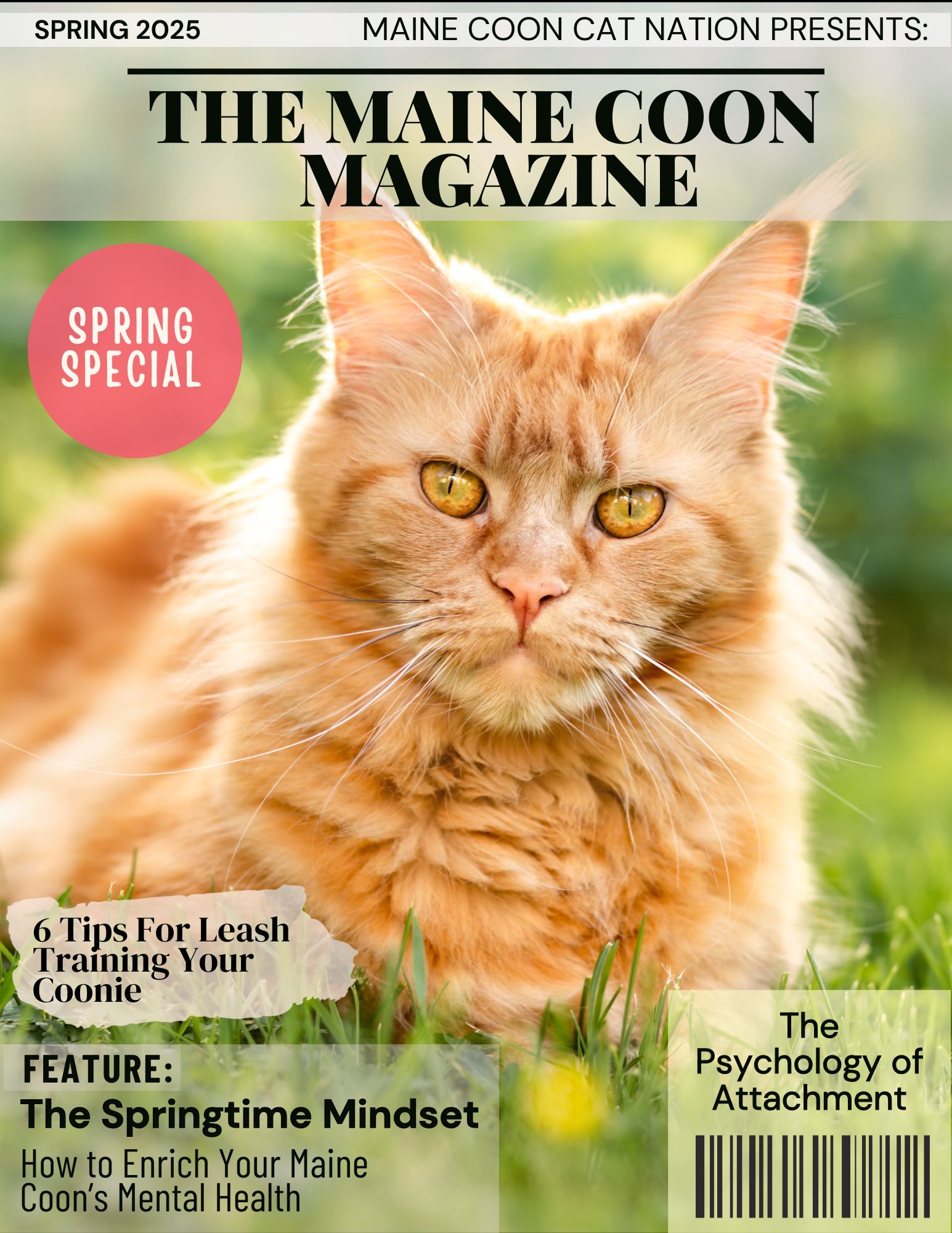 Cat Poop Stuck in Fur: How to Keep Your Feline Friend Clean